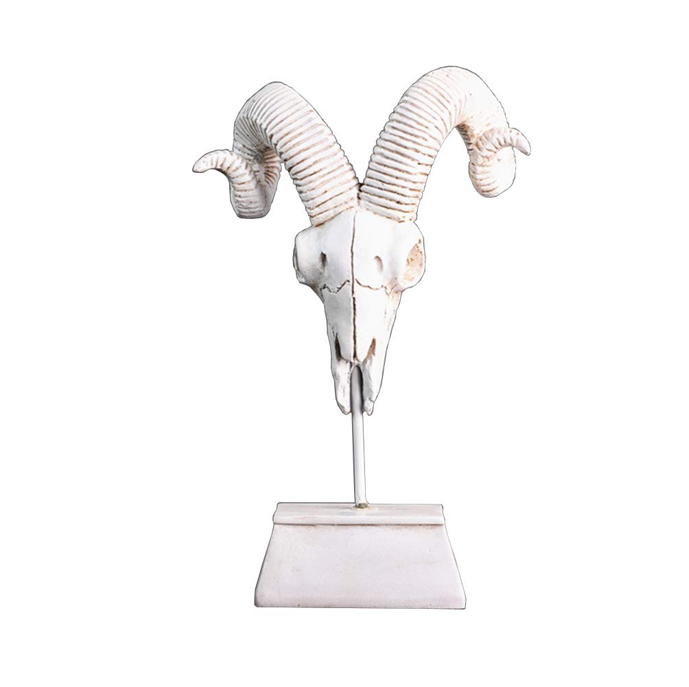 Ram Animal Head Skull