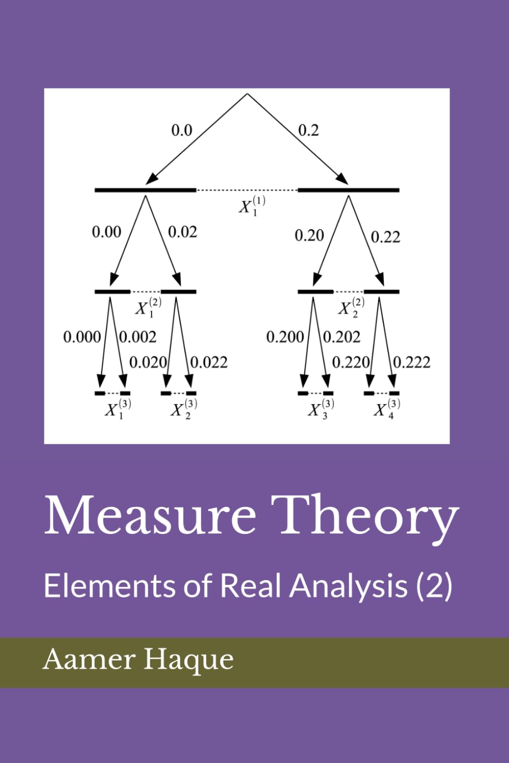 Measure Theory: Elements of Real Analysis (2): Haque, Aamer ...