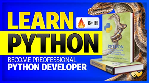 Learn Python Programming and Become Professional Developer: Brief Python Introduction And Access ...