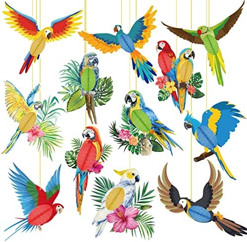 Amazon.com: 12 Pieces Tropical Birds Honeycomb Parrot Paper Cutouts ...