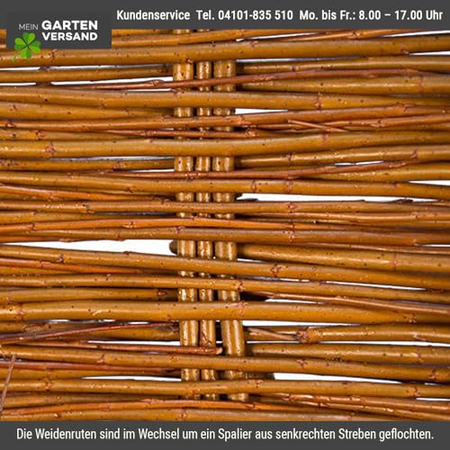 Sichtschutz Weide Zum Stecken