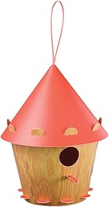 Decorative Bird Houses - Funky Eco friendly unusual bird boxes : Amazon ...