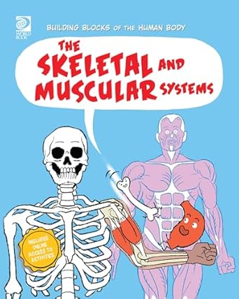 The Skeletal and Muscular Systems (Building Blocks of the Human Body ...
