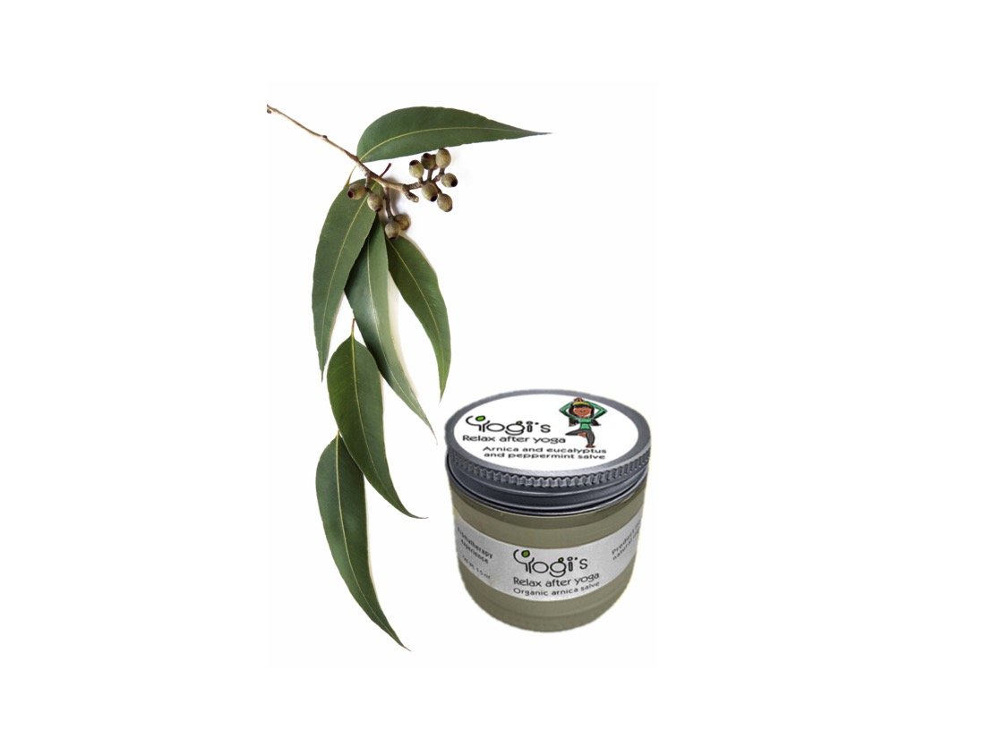 Yogi's essential yoga balm -arnica montana-eucalyptus and peppermint ...