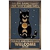 Amazon.com: for Wayward Cats Ferals and Familiars Vintage Tin Sign ...