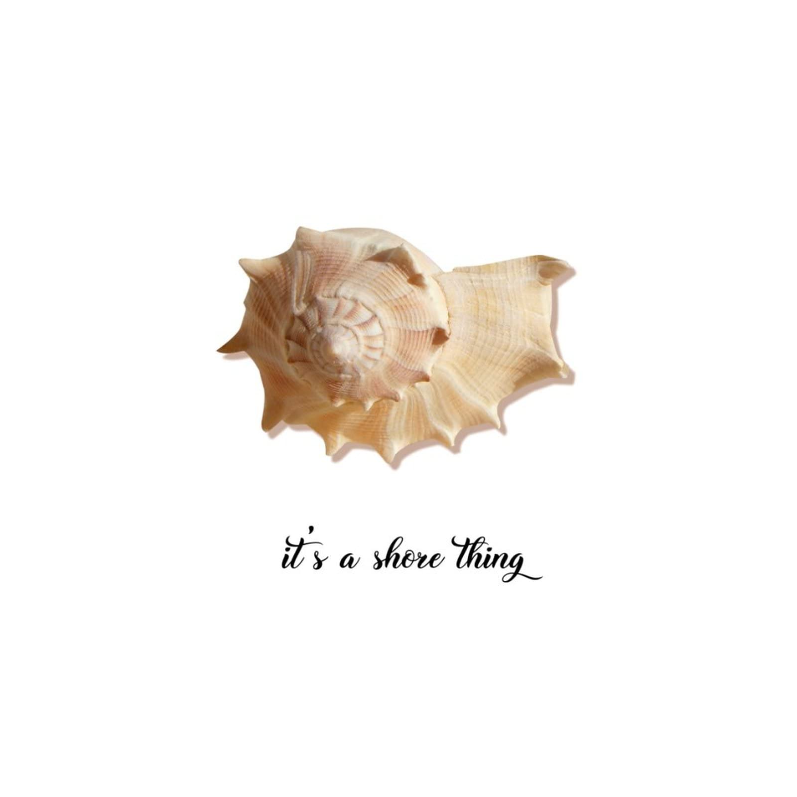 Cute Seashell Quotes Funny Seashell Quote Vectors & Illustrations For