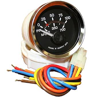 Murphy by Enovation Controls EGS21P-100-12 Electric Pressure Swichgage ...