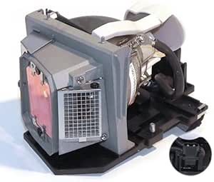 Amazon.com: FI Lamps Dell 4210X Replacement Lamp with Housing for Dell ...