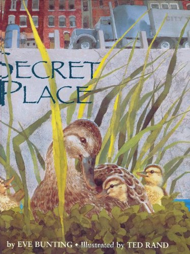 Secret Place: Bunting, Eve, Rand, Ted: 9780395643679: Amazon.com: Books