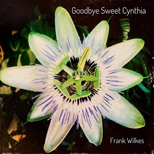 Amazon.com: Goodbye Sweet Cynthia : Frank Wilkes: Digital Music