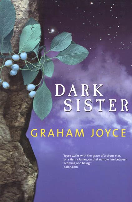 Dark Sister: Joyce, Graham: 9780312872540: Amazon.com: Books