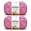 Amazon.com: Bernat Blanket Mist-ical Phlox 2 Pack of 300g Yarn