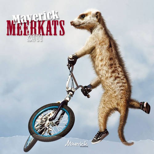 Maverick Meerkats 2011 Calendar: Amazon.co.uk: Cocken, Paul, Bicknell, Steve: 9781848860643: Books