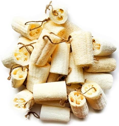 Amazon.com: Mr.Cui'shop 24 Pack Bulk 4" 100% Natural Exfoliating Loofah ...