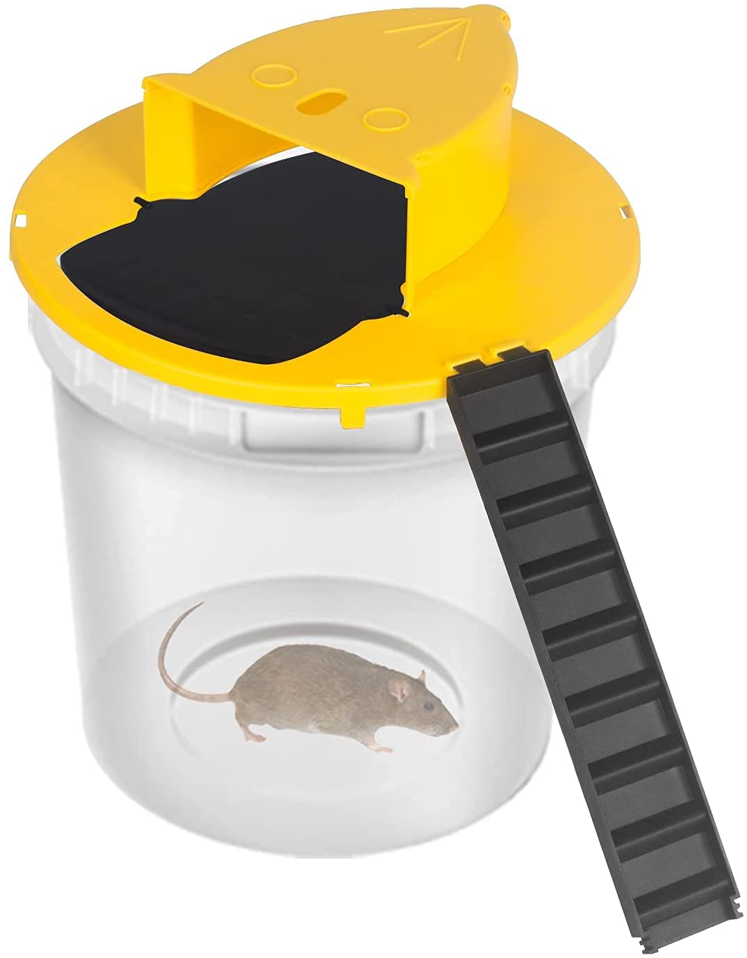 Watch Bucket Mouse Trap on Amazon Live