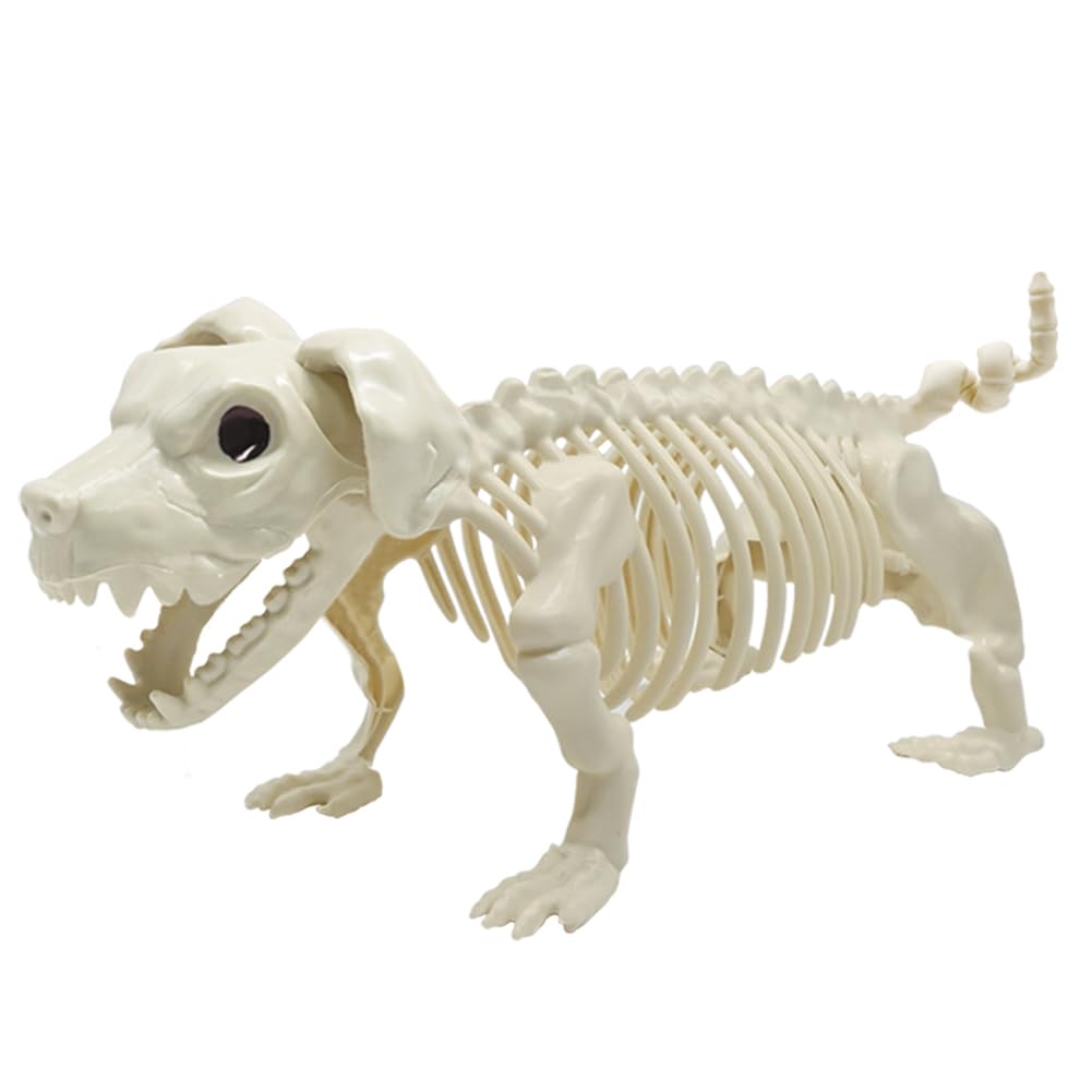 Amazon.com: Halloween Decoration Skeleton Dog, Skeleton Animal Plastic ...