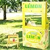Amazon.com: Dunzoom Lemon Stand Cardboard Cutout Standup Decorative ...
