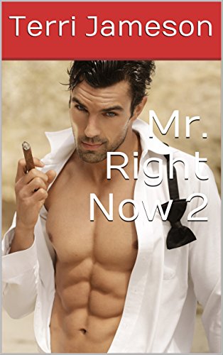 Mr. Right Now 2 - Kindle edition by Jameson, Terri. Literature ...