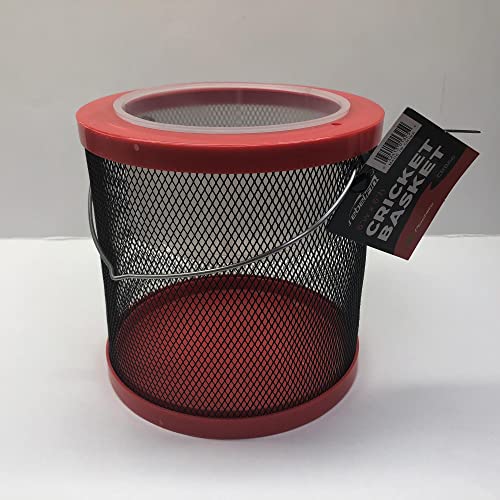 Get Your Buzz On: Top 10 Box of Crickets Products You Need to Try Now ...