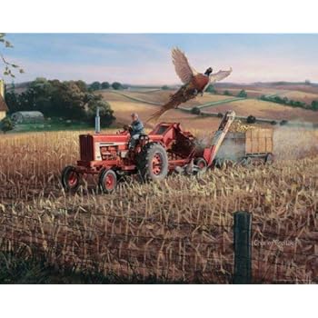 Amazon.com: Farmall Case IH Tractor Motivational Poster Art Print 11x14 ...