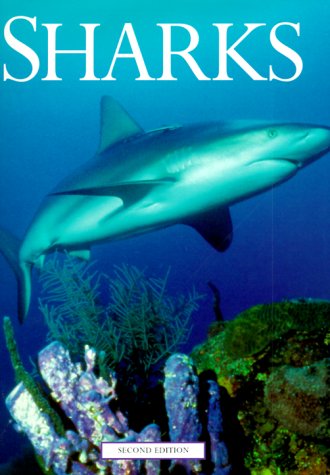 Sharks : Stevens, John D: Amazon.in: Books