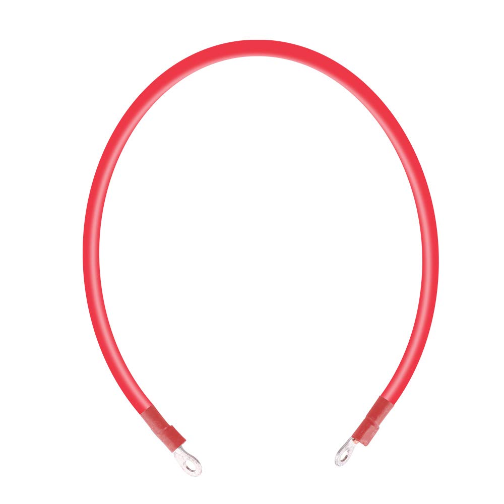 Amazon.com : Renogy 2FT 8AWG Cable with Double Ring Terminals for 3/8 ...