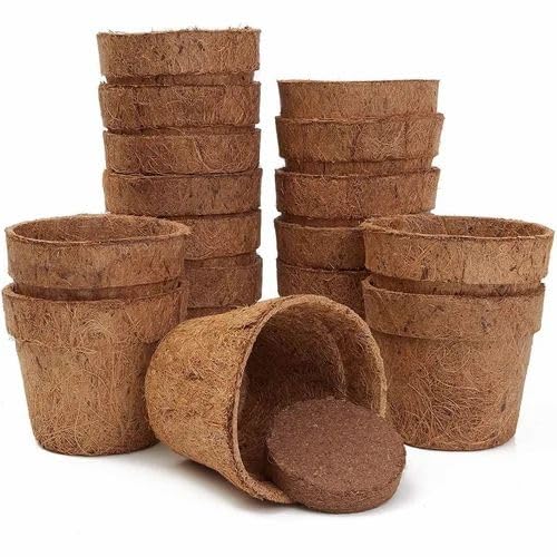 Biodegradable Coir Plant Pots, Pack of 10, Coco pots,Coconut Coir Round ...
