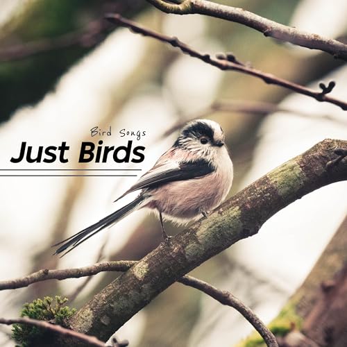 Spiele Just Birds von Bird Songs auf Amazon Music ab