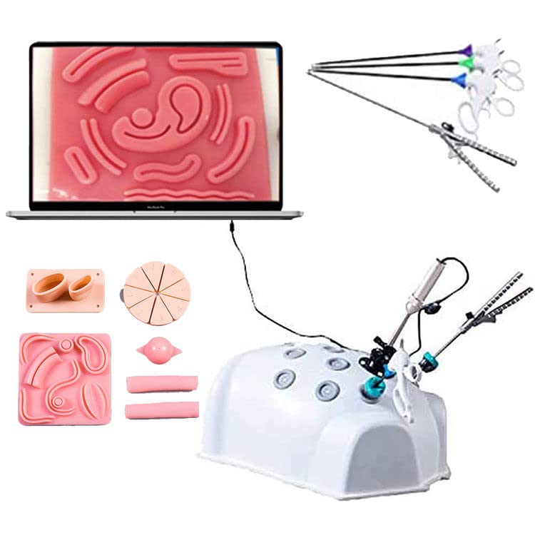 Buy BEESOM Medical Laparoscopic Trainer Box, Laparoscopic Endo Trainer ...