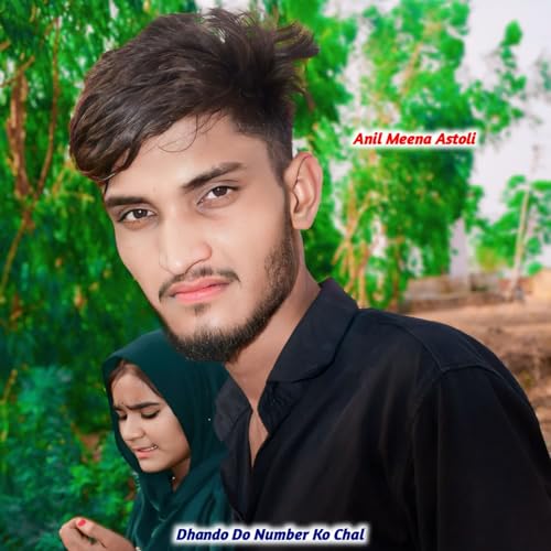 Play Dhando Do Number Ko Chal by Anil Meena Astoli on Amazon Music ...