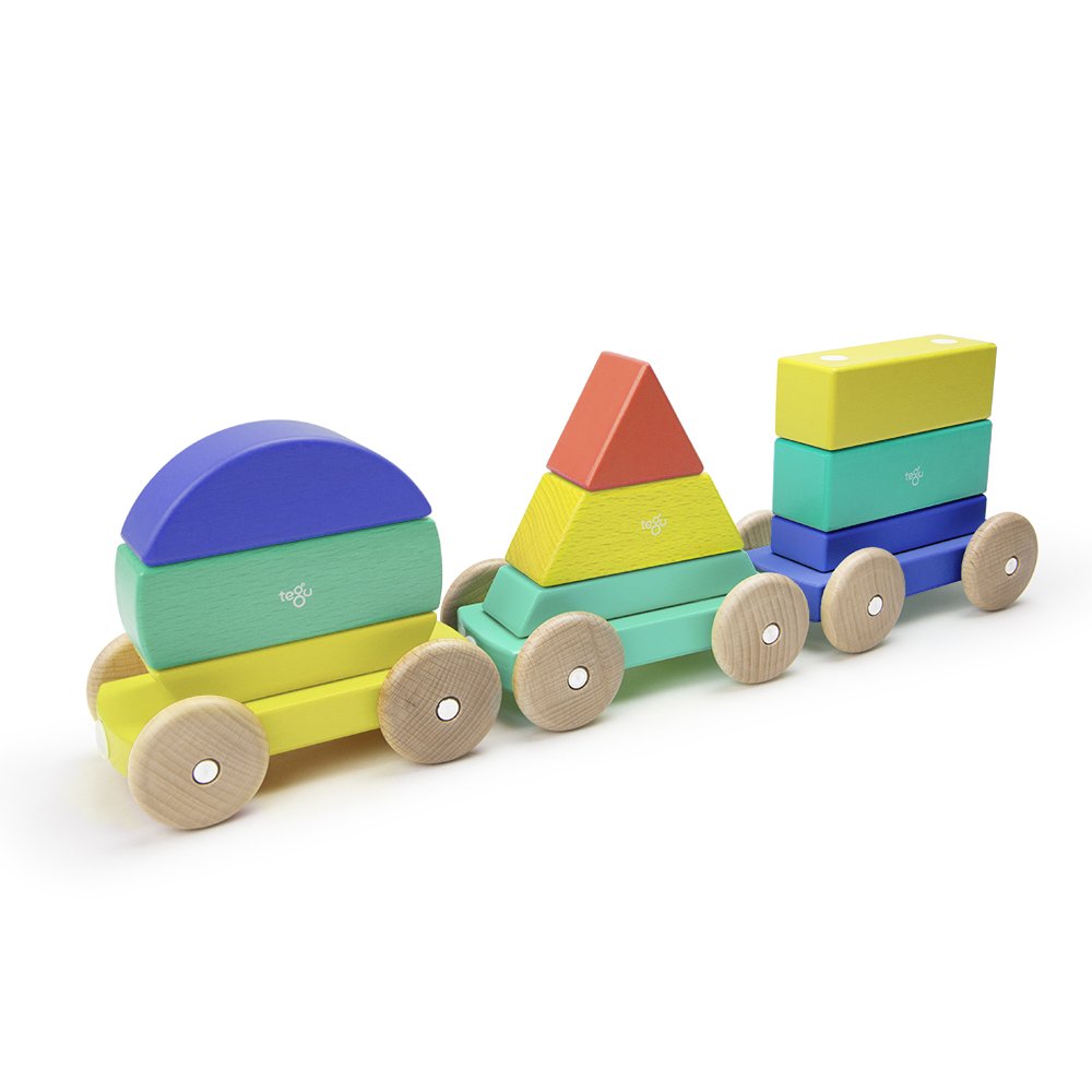 Tegu Shape Train Building Blocks (9 Piece), Rainbow, One Size : Amazon ...