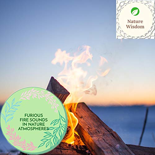 Play Furious Fire Sounds in Nature Atmospheres by Calm Music & Nature ...