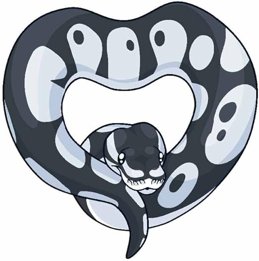 Amazon.com: Ball Python Heart Snake Decal -Indoor and Outdoor use ...