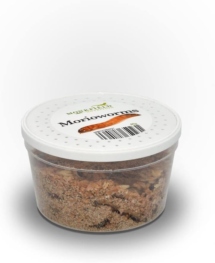 Monkfield Nutrition - Live Morioworms - 40-50mm - 40g Postage Pack Tub ...