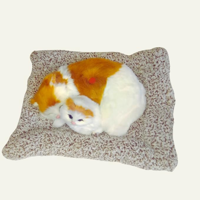 Buy Decordial 26 Cm Cute Cat Soft Stuffed Plush Sleeping Cute Kitty ...