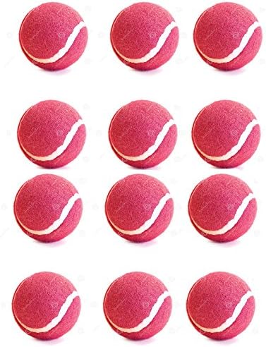 Abee Red Hard Tennis Ball Cricket Ball (Pack of 12) : Amazon.in: Sports ...
