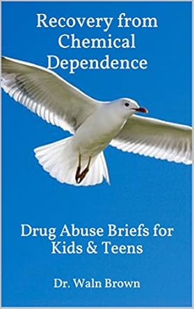 Recovery from Chemical Dependence: Drug Abuse Briefs for Kids & Teens ...