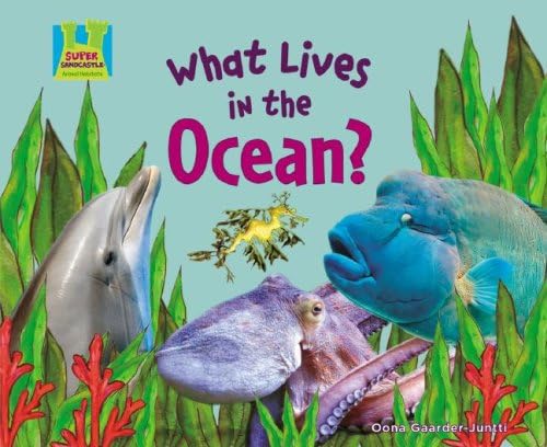 Amazon.com: What Lives in the Ocean? (Animal Habitats): 9781604531756 ...