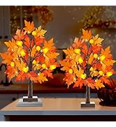 Amazon.com: [2 Pack & Timer] 24 Inch Artificial Fall Lighted Maple Tree ...