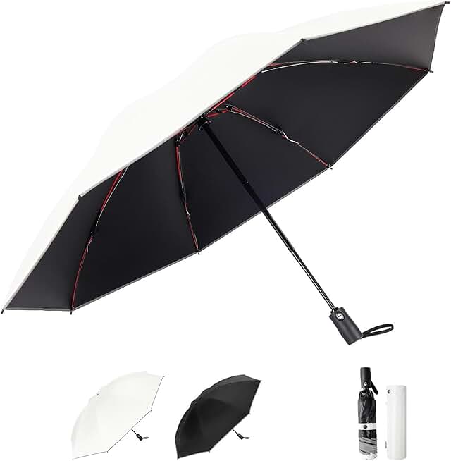 Konciwa 傘専門店 @ Amazon.co.jp: