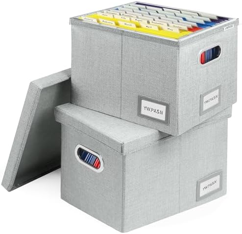 Amazon.com: YWPXSN File Organizer Box with Lid - Hanging File Box with ...