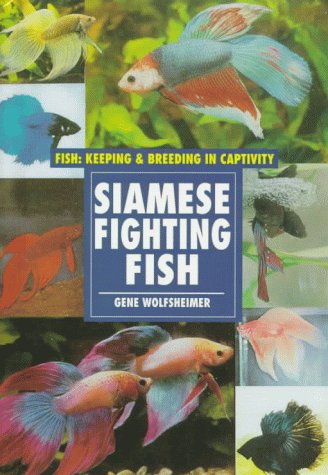 Siamese Fighting Fish (Fish : Keeping & Breeding in Captivity ...
