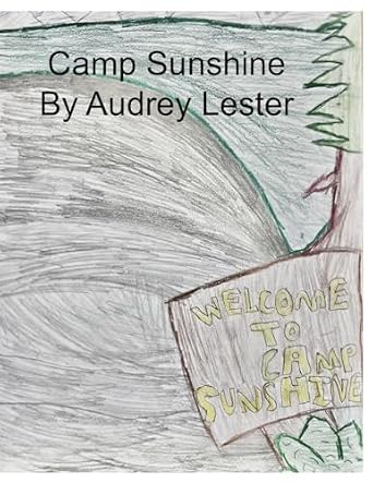 Camp Sunshine: Audrey Lester: 9781649948106: Amazon.com: Books