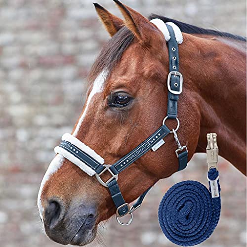 Halfter Und Strick – Die 15 besten Produkte im Vergleich - Reiterguide ...