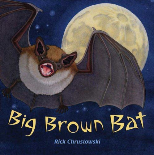 Big Brown Bat: Chrustowski, Rick, Chrustowski, Rick: Amazon.com: Books