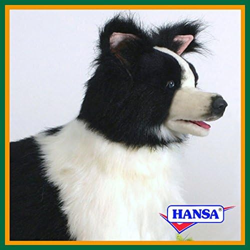 Amazon.co.jp: HANSA ハンサ ぬいぐるみ 4563 コリー 80 BORDER COLLIE STANDING : おもちゃ