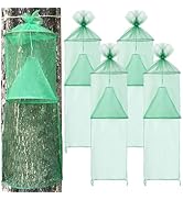 Amazon.com : Qualirey 2 Pack Spotted Lanternfly Traps Lantern Fly ...
