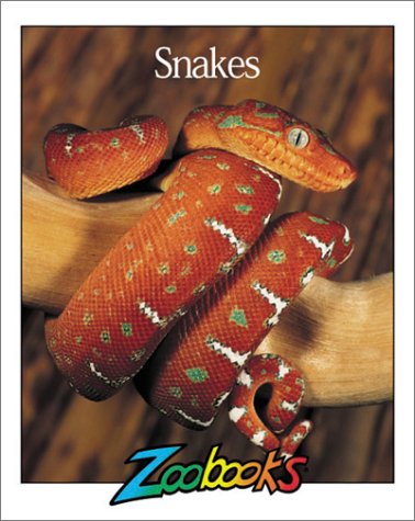 Snakes (Zoobooks Series): 9781888153460: Amazon.com: Books
