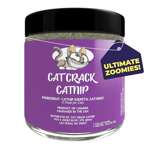 Catnip Bubbles – The 15 best products compared - Wild Explained
