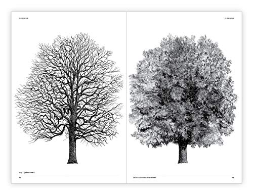 The Architecture of Trees - Price History